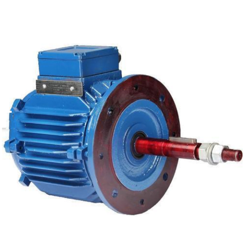 Extended Shaft Special Motor